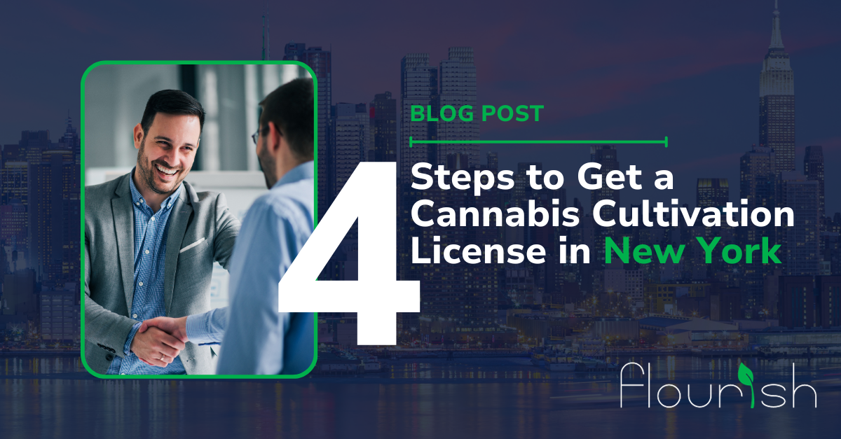 4 Steps to Get a Cannabis Cultivation License in New York