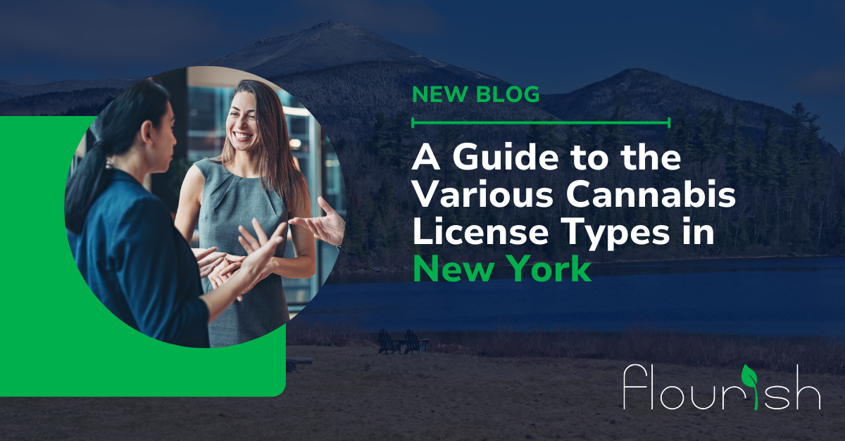 A Guide to the Various Cannabis License Types in New York