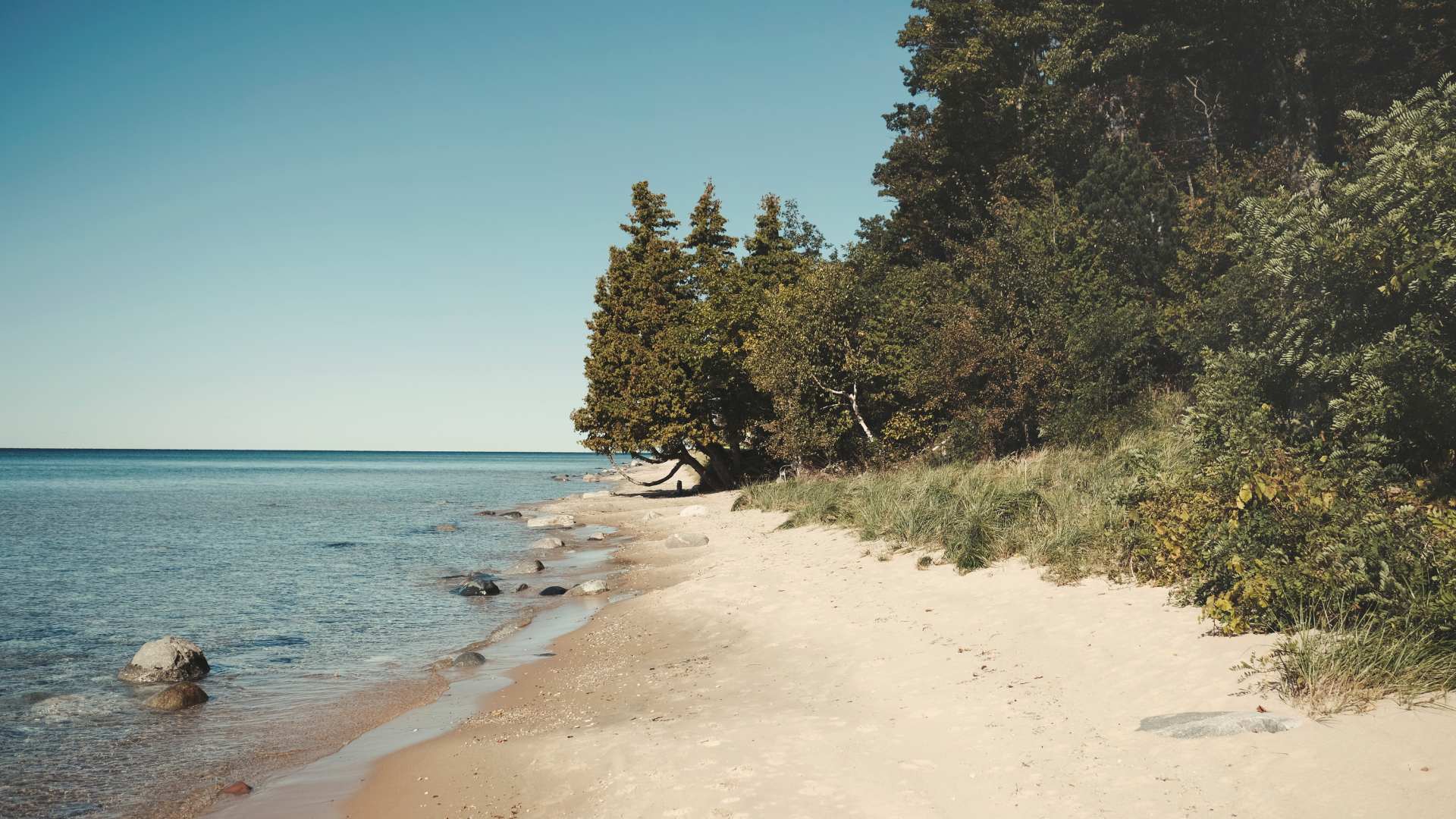 Metrc Michigan: Seed-to-Sale Compliance Info and Resources