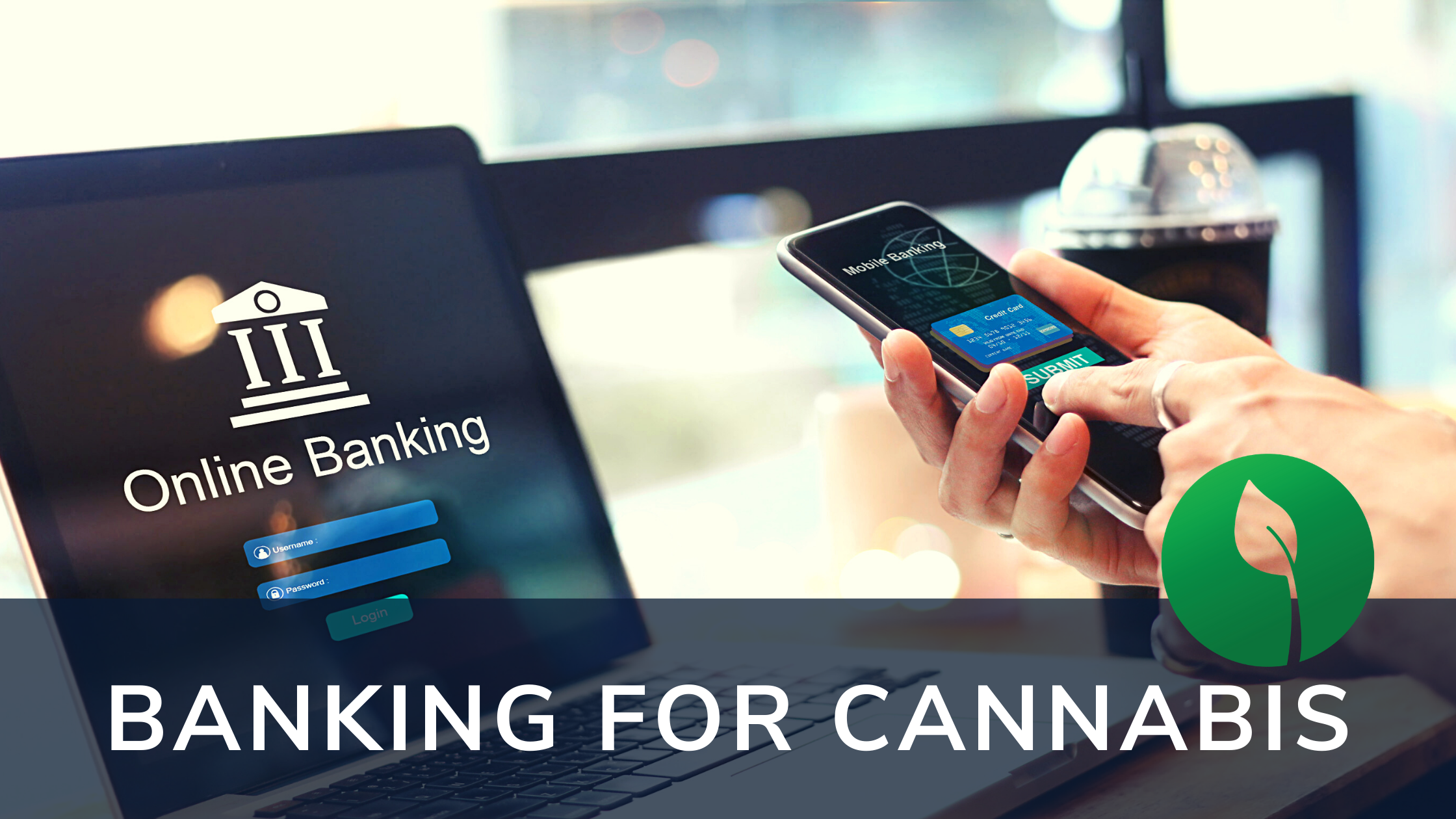 Will Federal Legalization Fix the Cannabis Banking Problem?