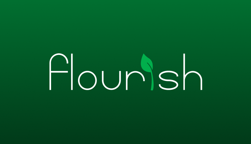 Flourish & Webhook Software Integration
